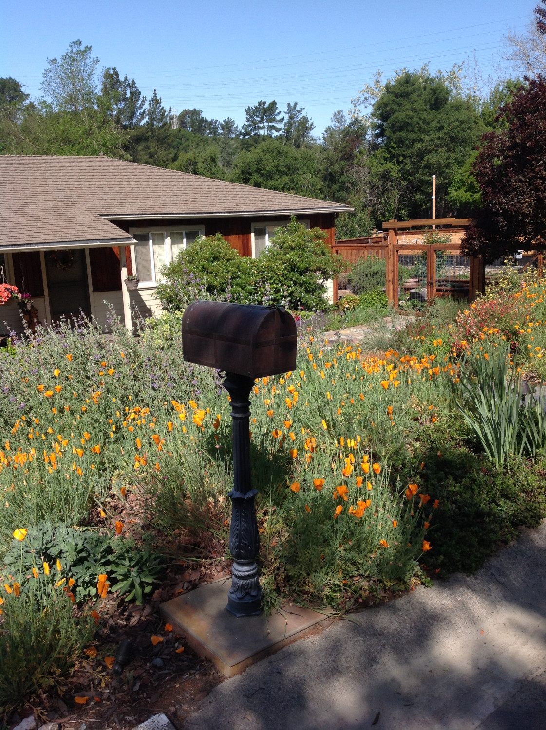 Copper Mailboxes Post Mounted